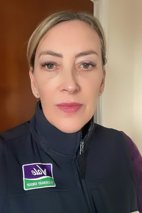 Our Team - vale veterinary group a practice in Kidderminster,